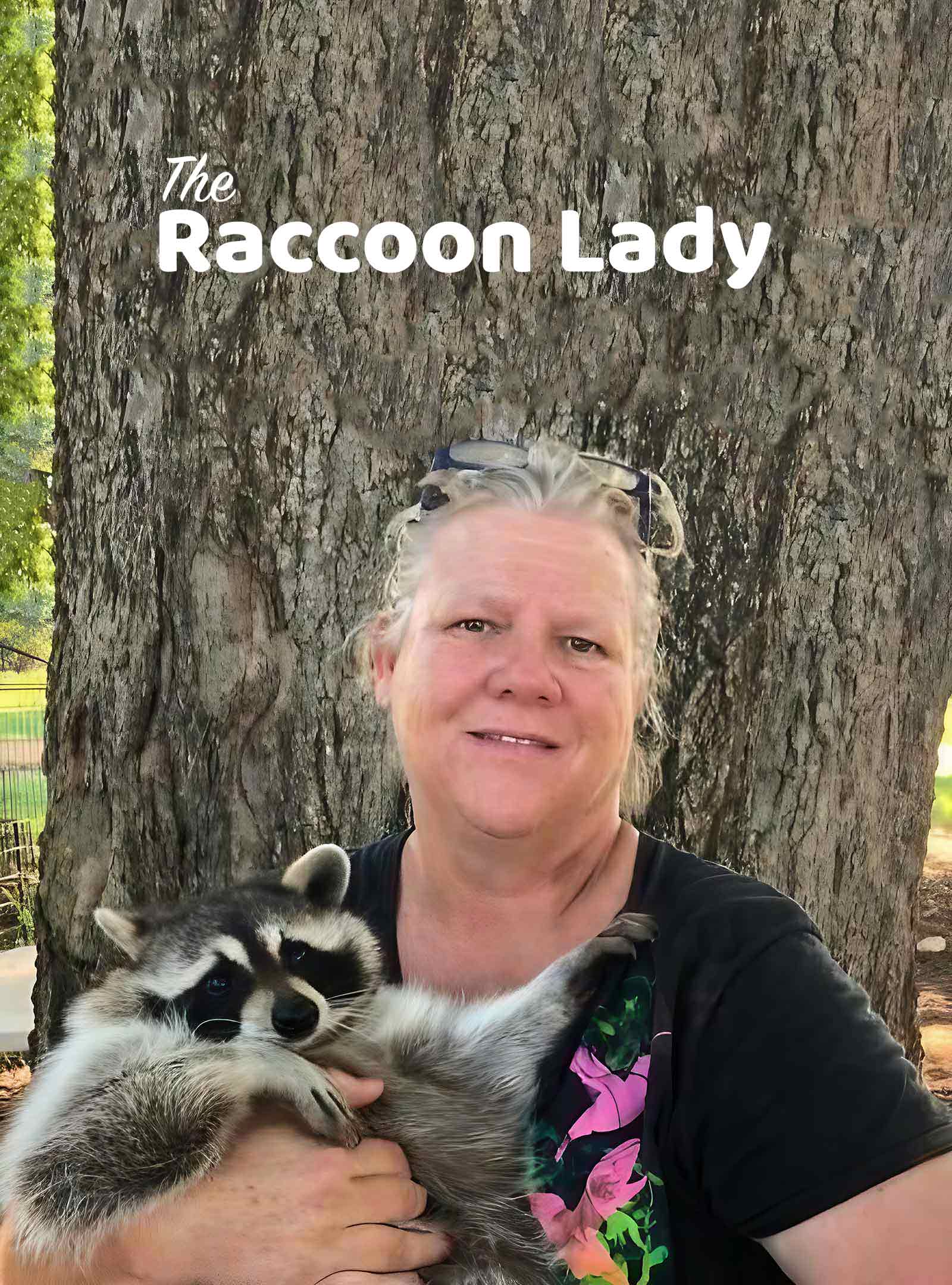 The Raccoon Lady - Licensed Raccoon Breeder - Oklahoma